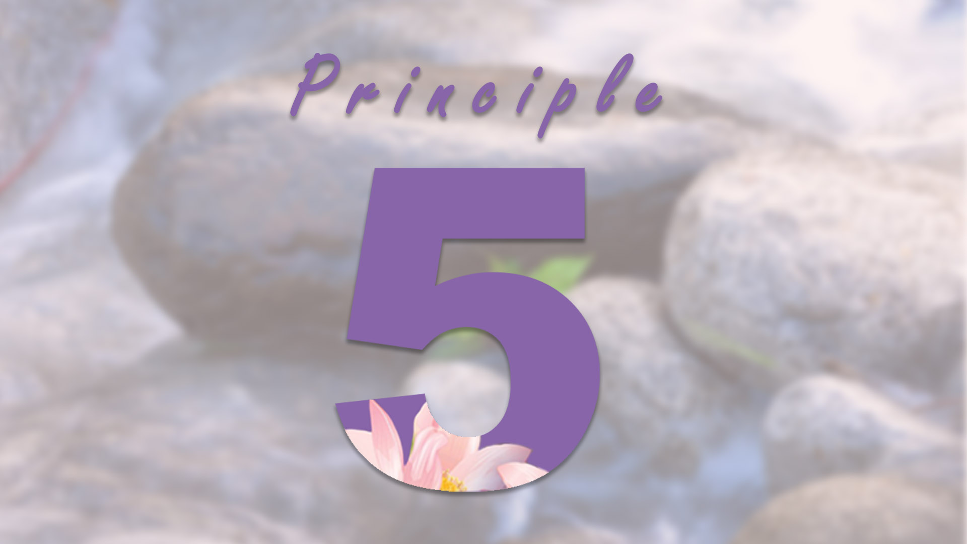 The 7 principles | The Backbone